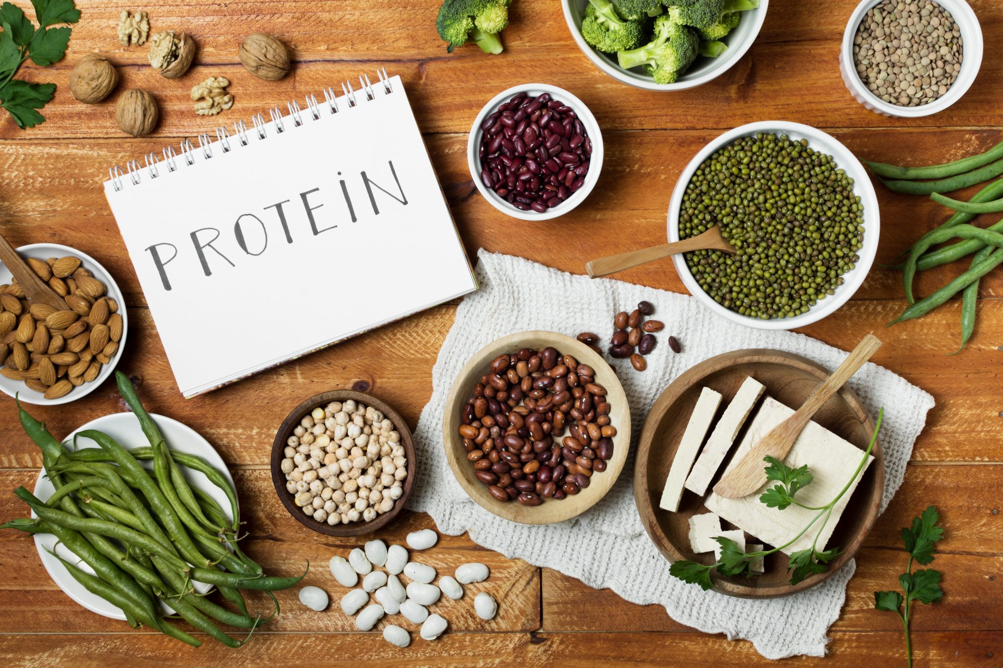 Proteins – Essential Workhorses of the Human Body